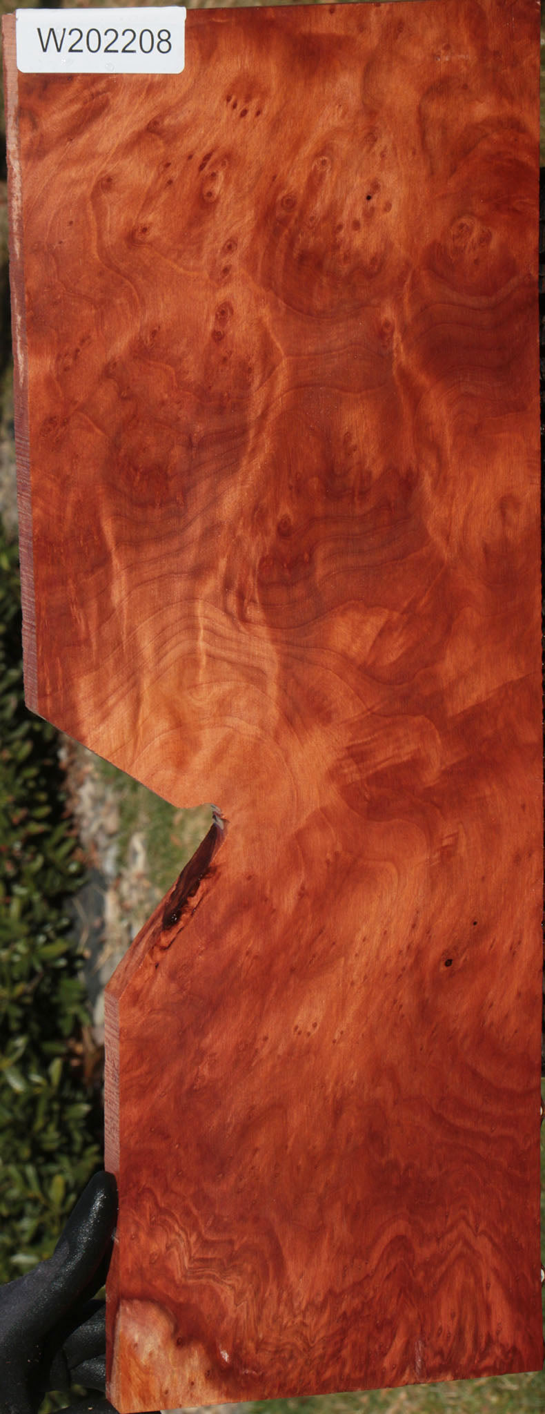 Redwood Burl Instrument Lumber – Cook Woods