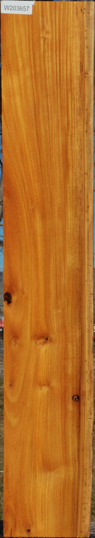Argentine Osage Orange Live Edge Lumber – Cook Woods