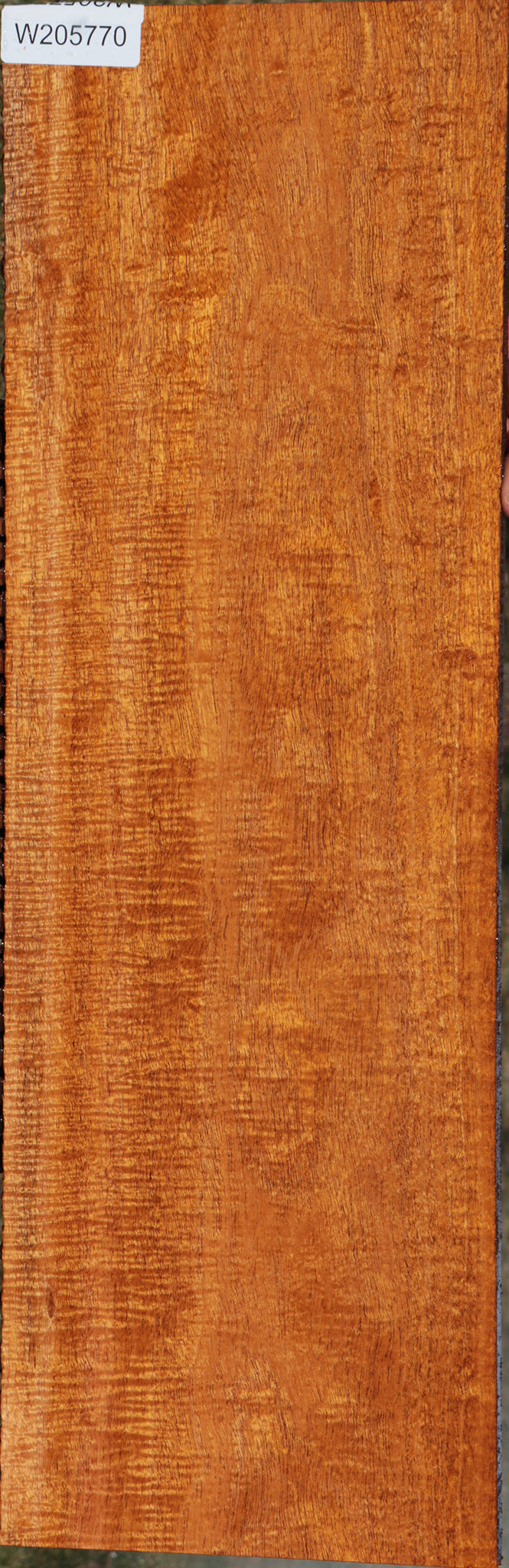 Mahogany – Cook Woods