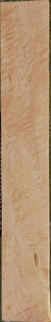 Maple, Eastern Hard – Cook Woods