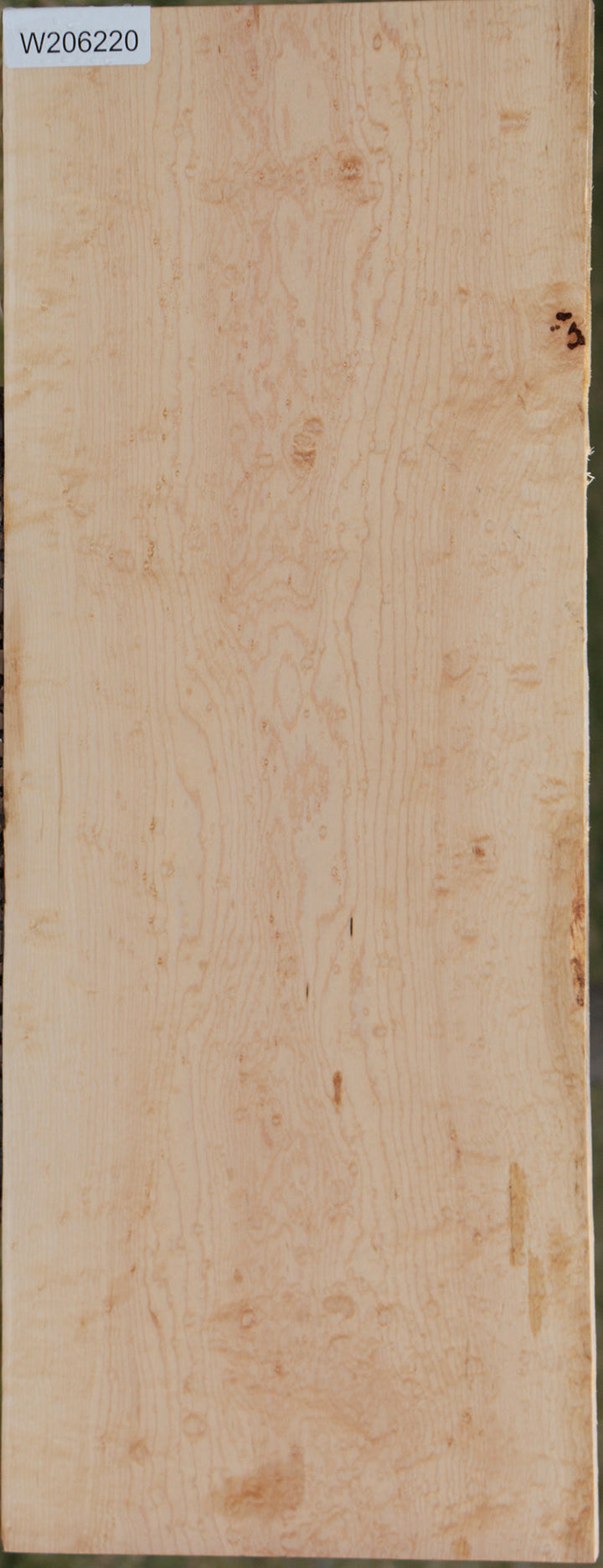 Maple, Eastern Hard – Cook Woods