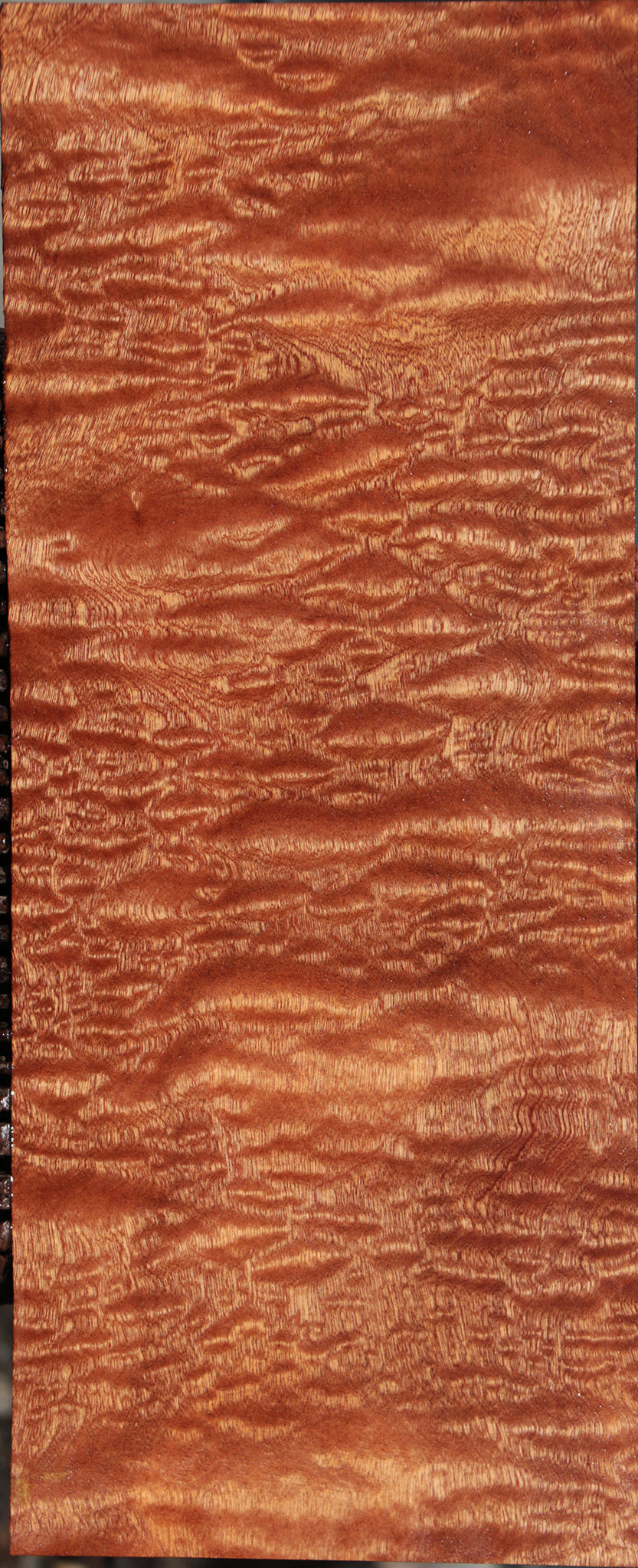 Sapele – Cook Woods