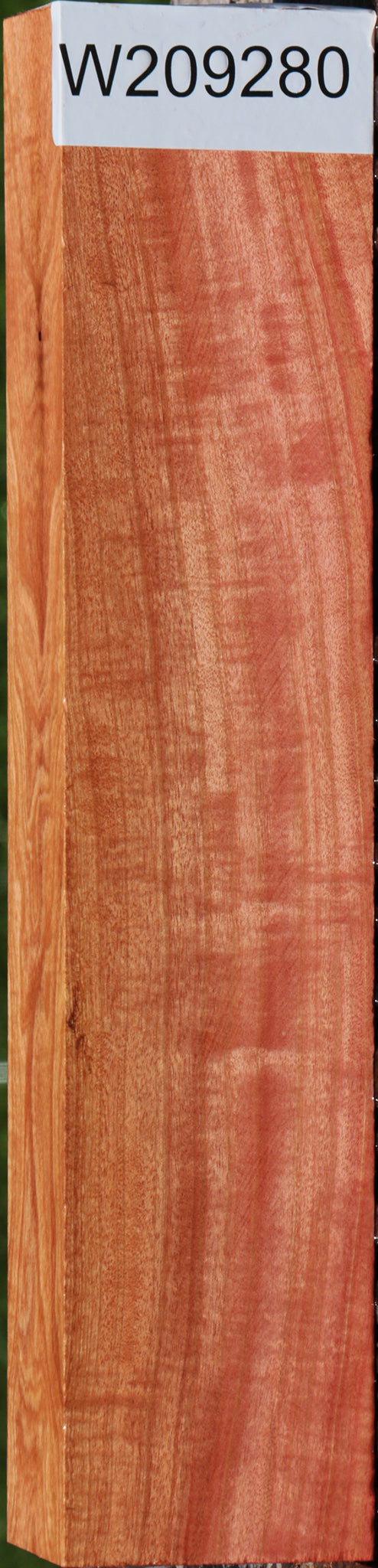 Extra Fancy Pink Ivory Lumber – Cook Woods