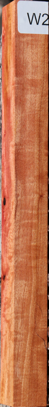 Pink Ivory – Cook Woods