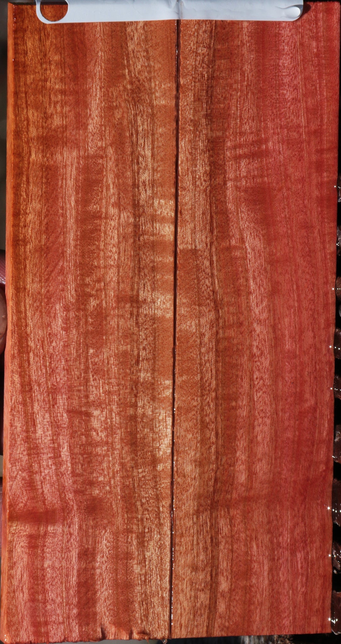 Pink Ivory – Cook Woods