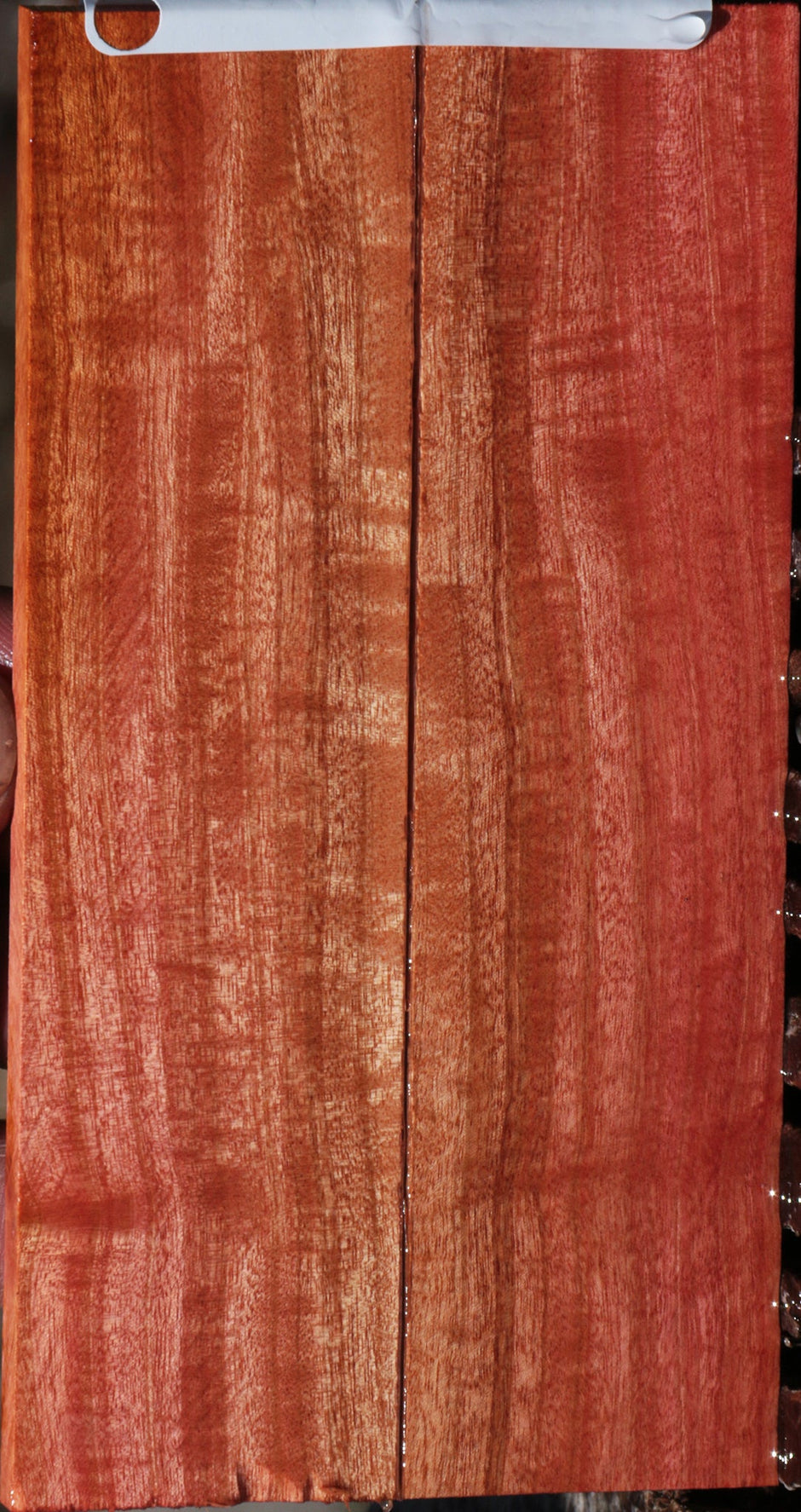 Pink Ivory – Cook Woods