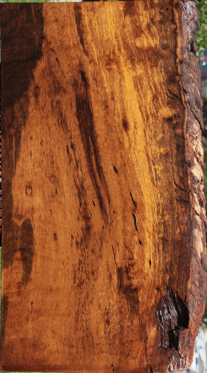 Imbuia – Cook Woods