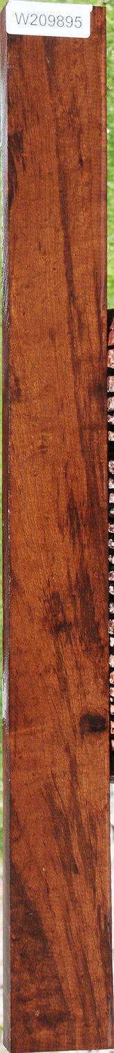 Imbuia – Cook Woods