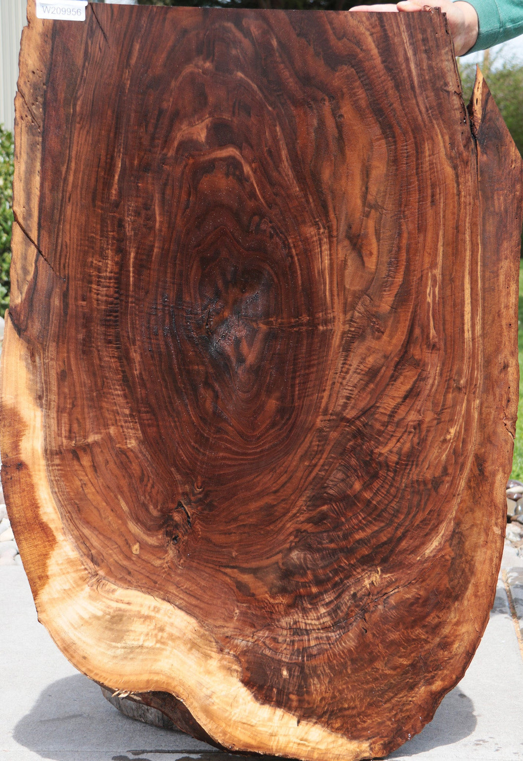 New Items! – Cook Woods