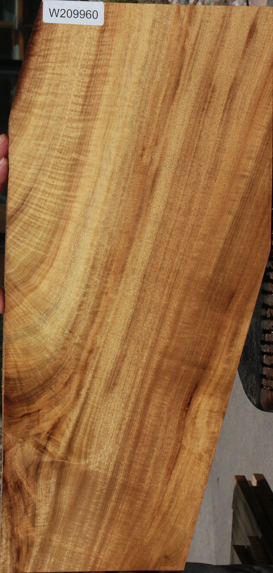 Instrument Wood – Cook Woods