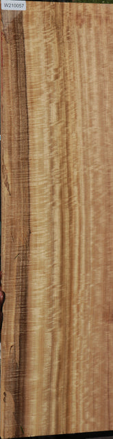 Myrtle – Cook Woods