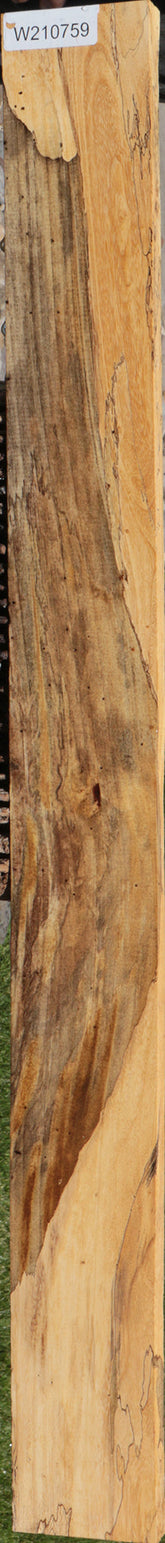 Tamarind, Spalted – Cook Woods