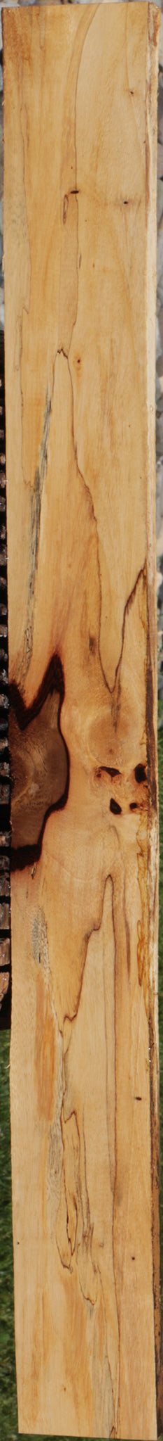 Tamarind, Spalted – Cook Woods