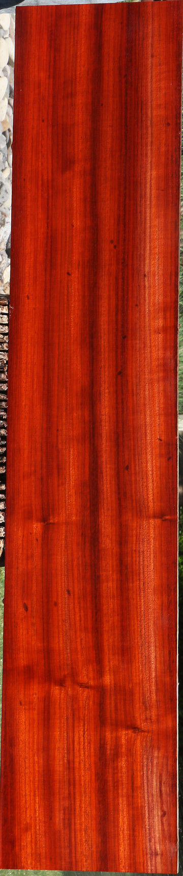 Padauk – Cook Woods
