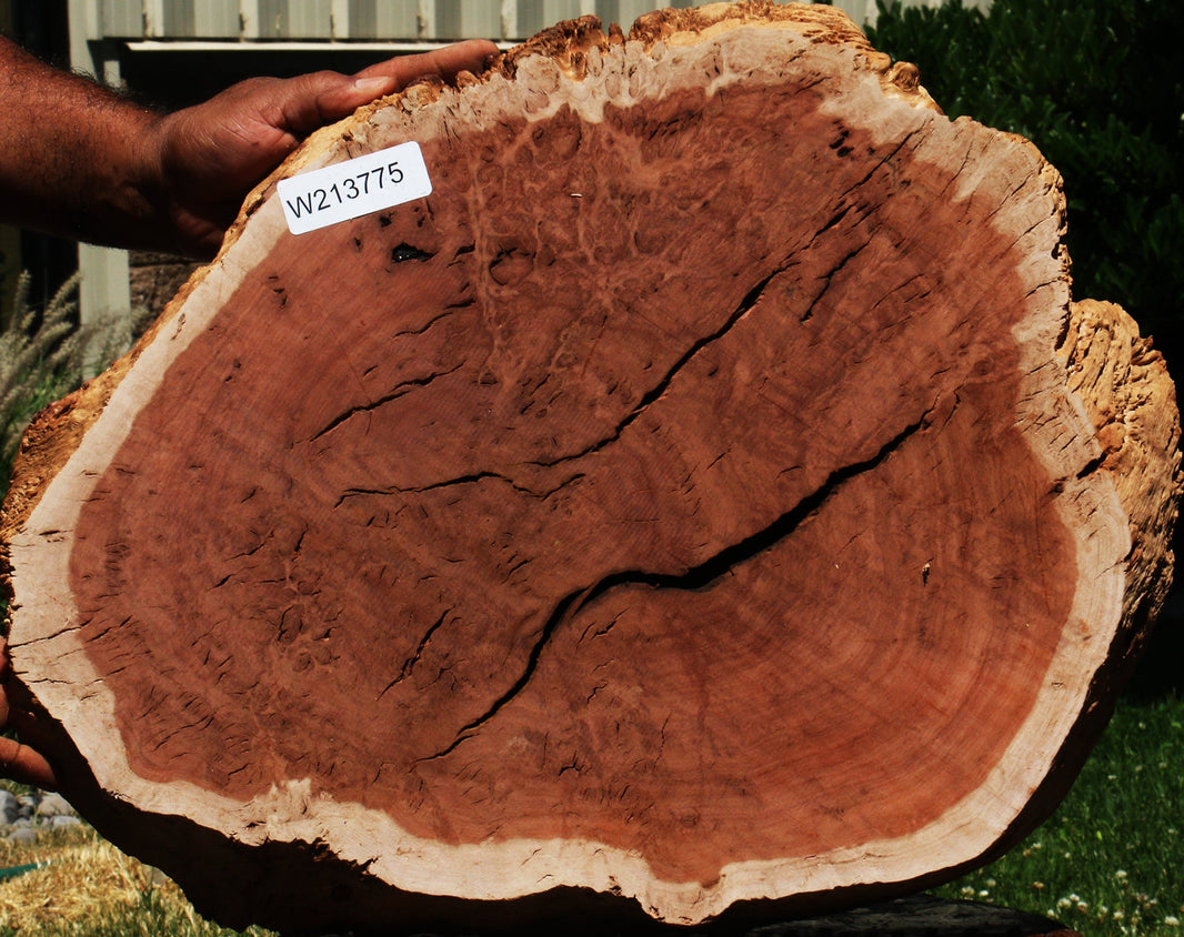 Cookies & Burl Slices – Cook Woods
