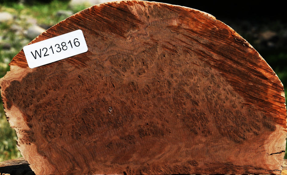 Goldfield Burl – Cook Woods