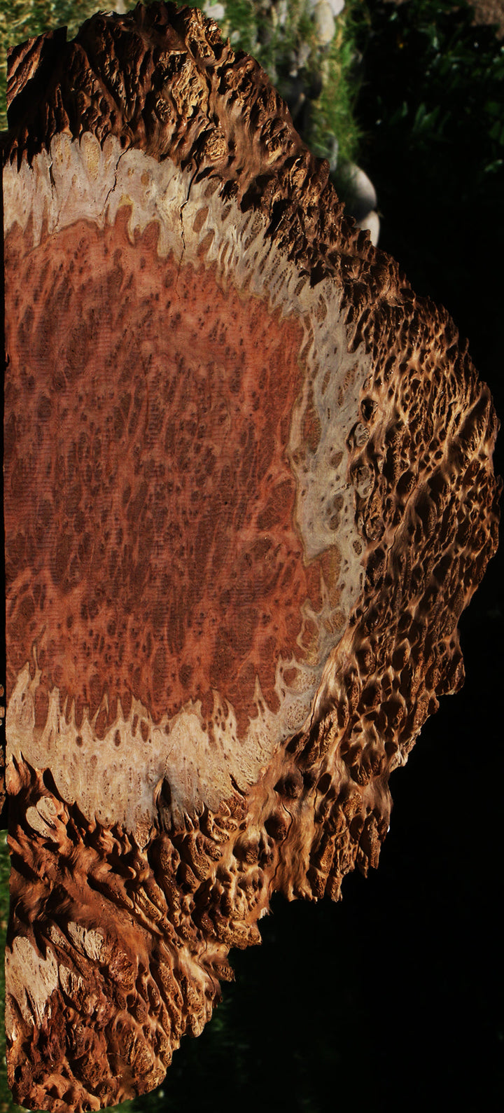 Cookies & Burl Slices – Cook Woods