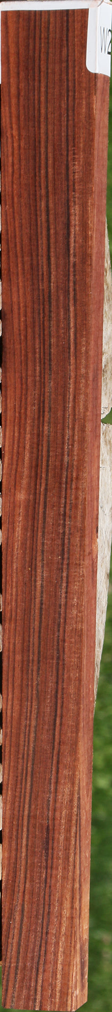 Kingwood – Cook Woods