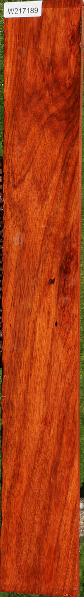 Bloodwood – Cook Woods