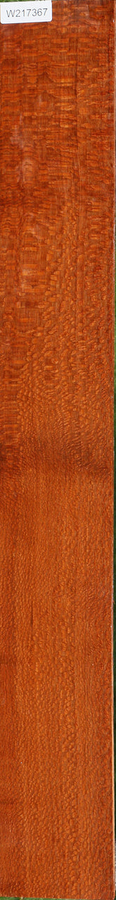 Leopardwood – Cook Woods