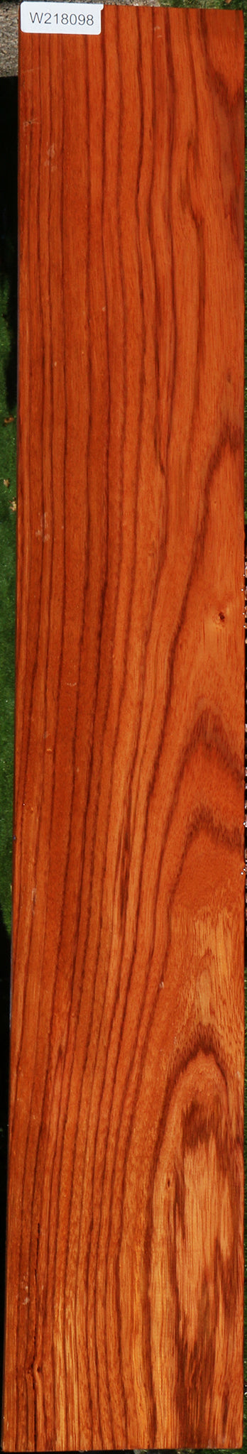 Ebiara – Cook Woods