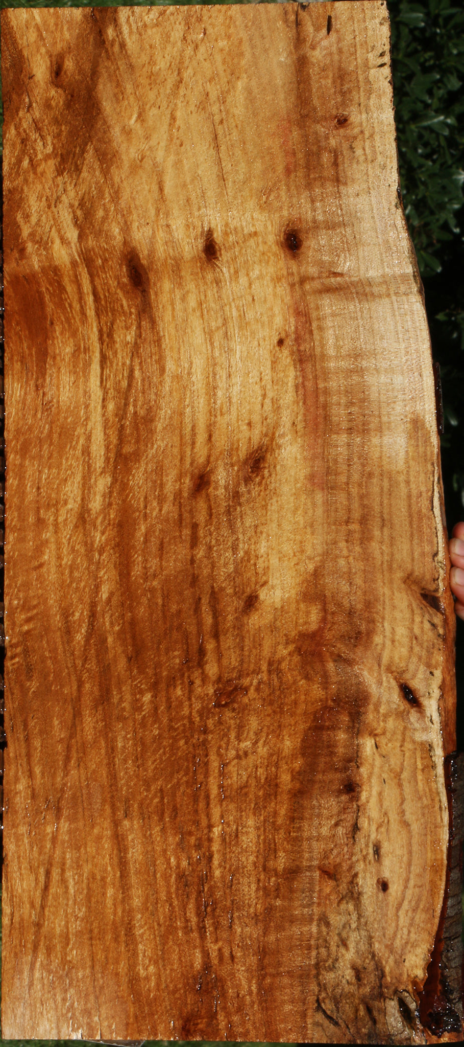 Figured Silver Wattle Live Edge Lumber – Cook Woods