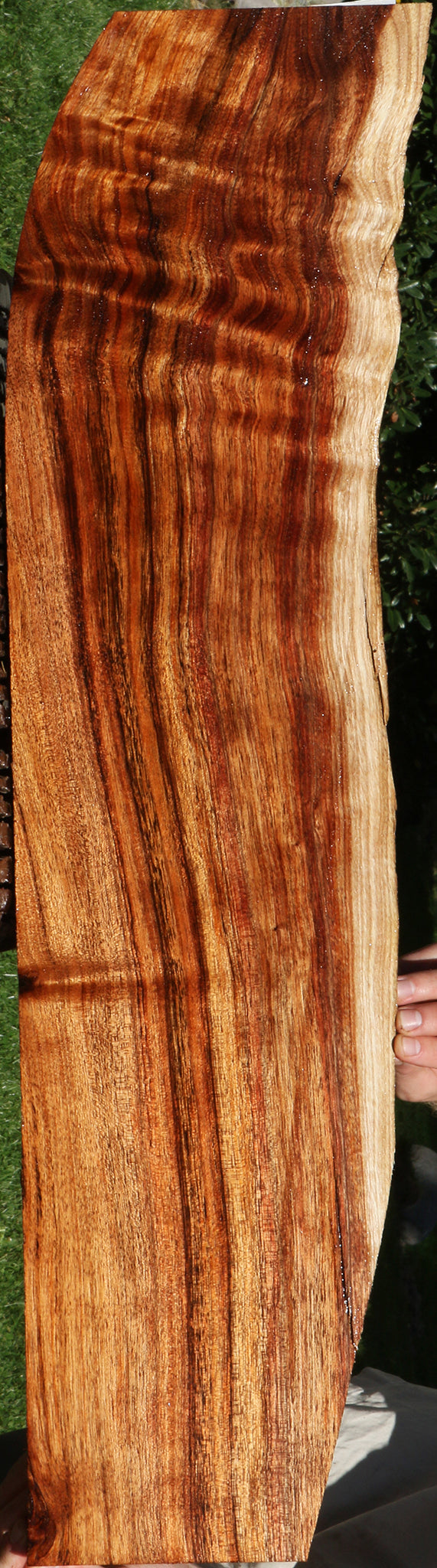 Figured Silver Wattle Live Edge Lumber – Cook Woods