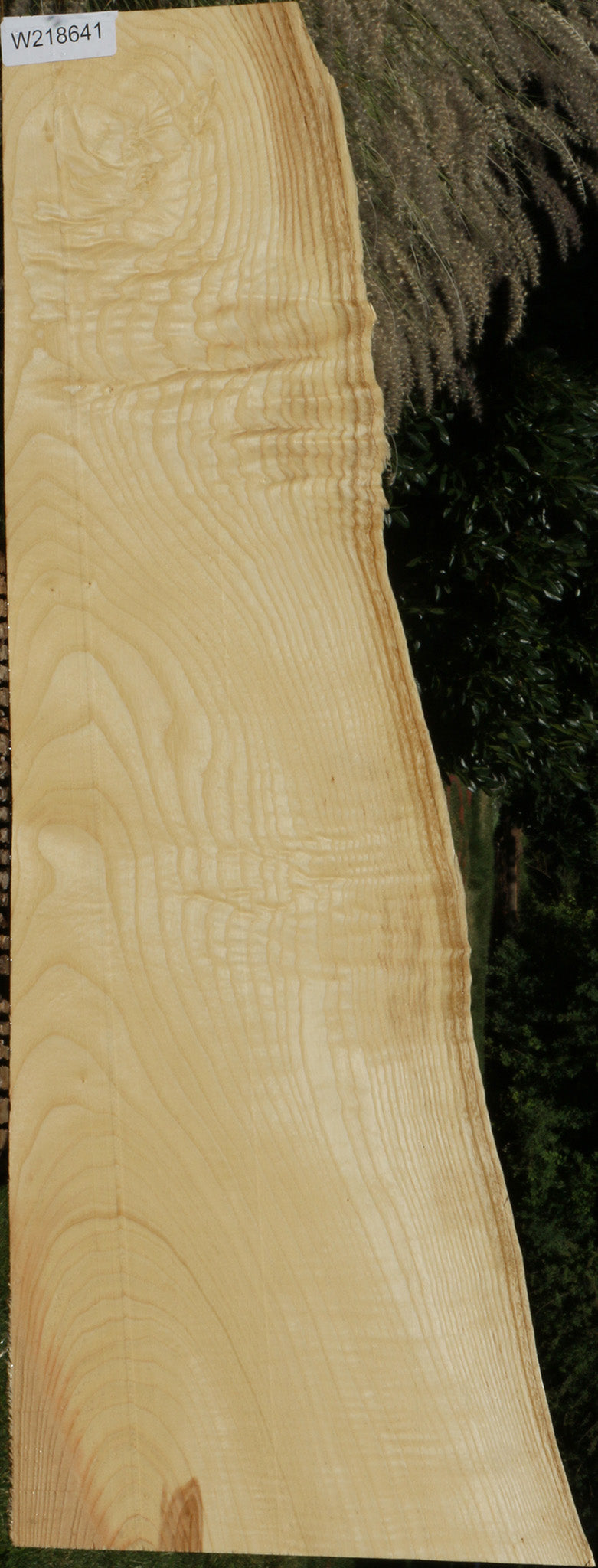 Extra Fancy Fiddleback French Ash Live Edge Lumber – Cook Woods