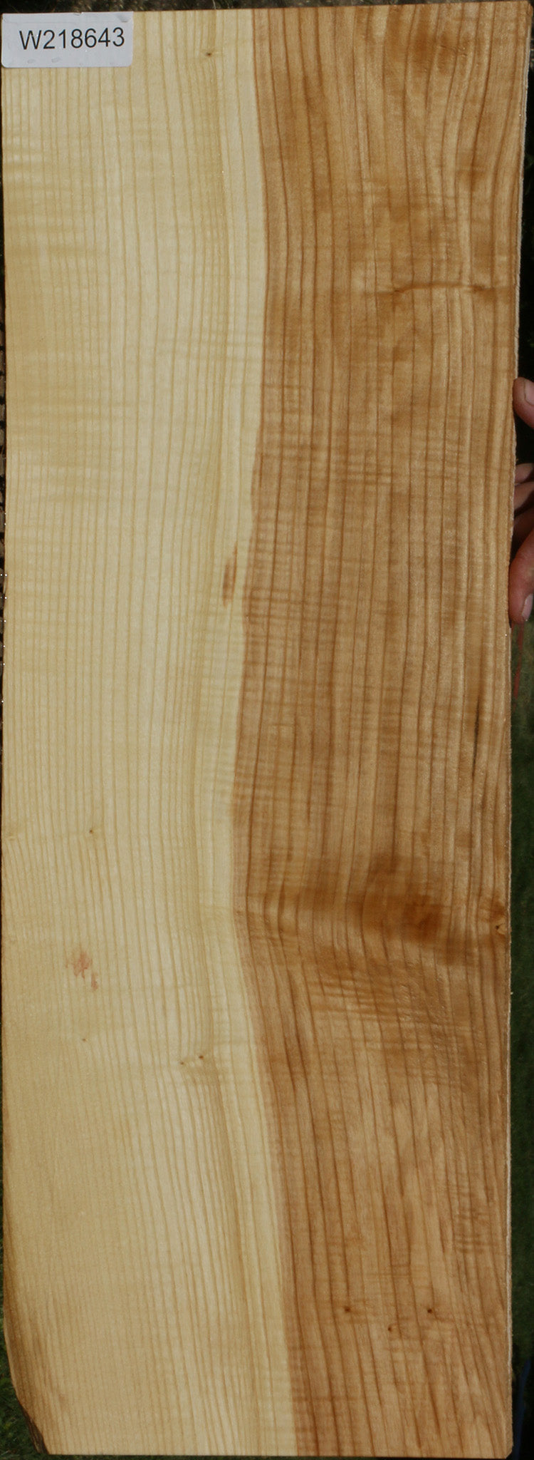 Extra Fancy Fiddleback French Ash Lumber – Cook Woods