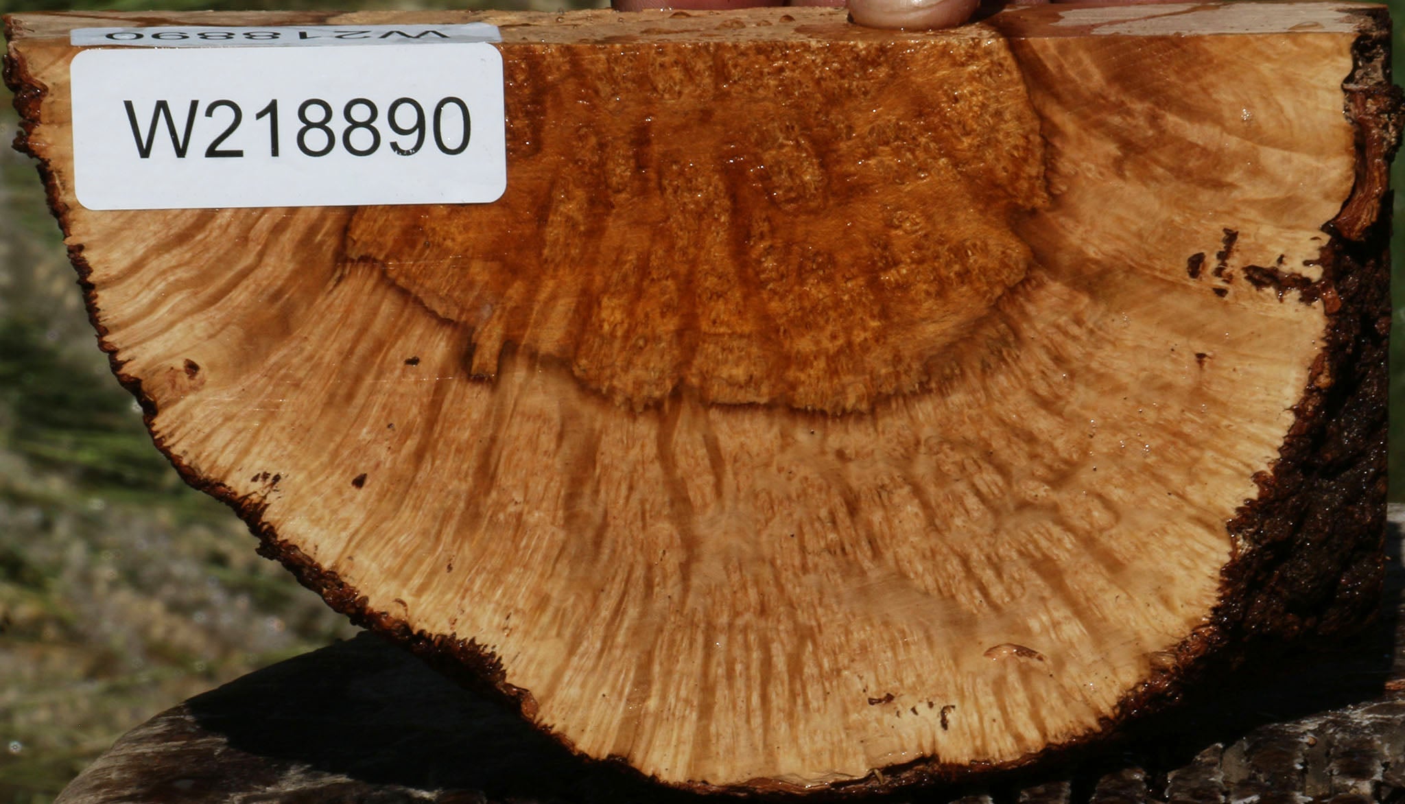 Cookies & Burl Slices – Cook Woods