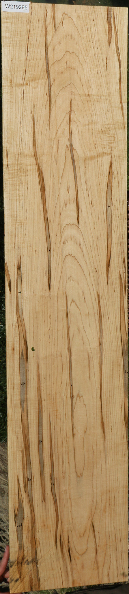 Extra Fancy Fiddleback Ambrosia Maple Lumber – Cook Woods