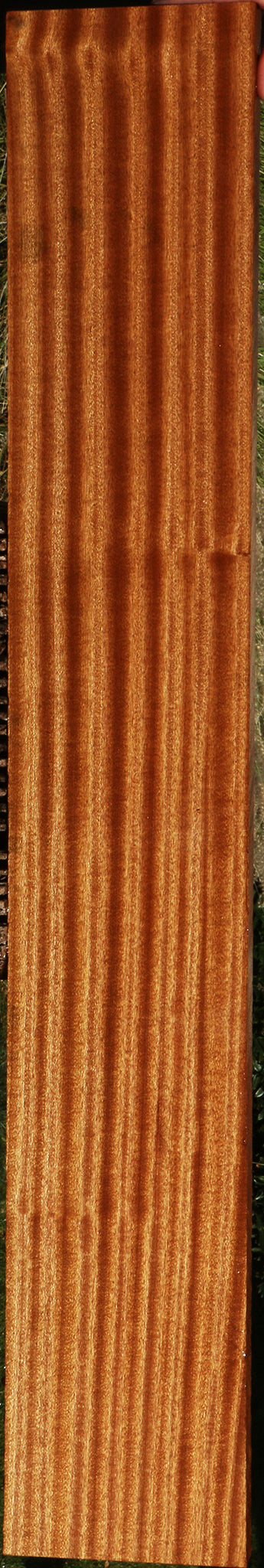Ribbon Figured Sapele Lumber – Cook Woods