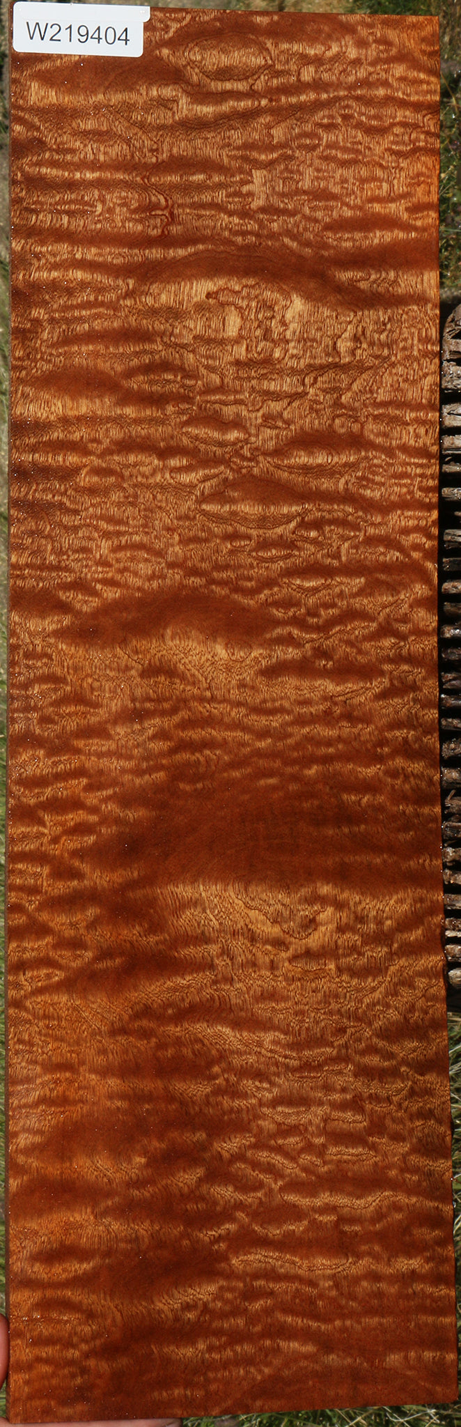 Sapele – Cook Woods