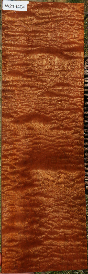 Sapele – Cook Woods