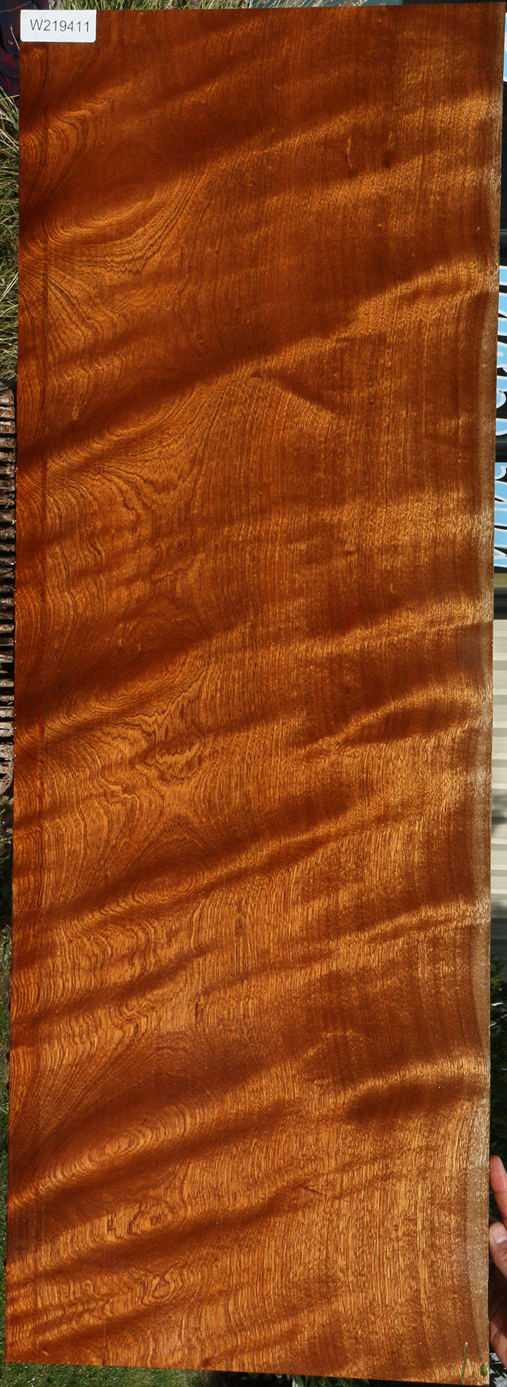Sapele – Cook Woods