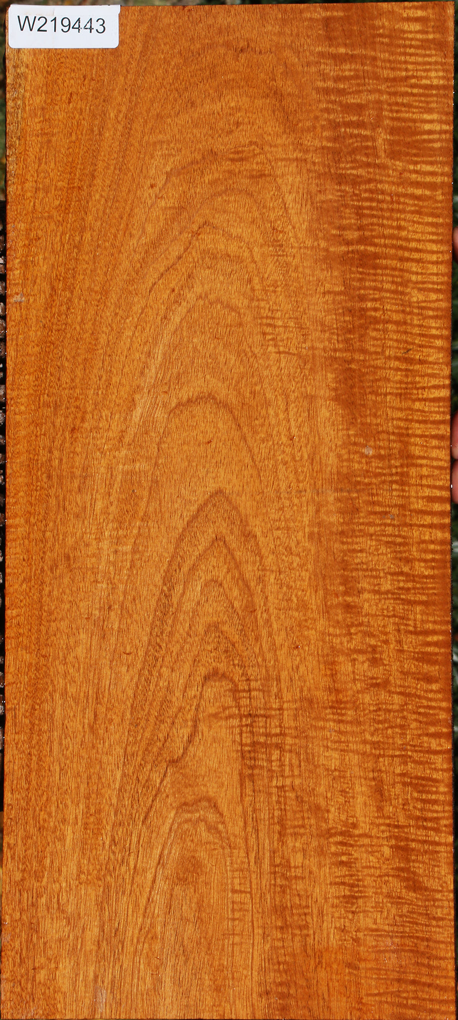 Extra Fancy Fiddleback Honduras Mahogany Lumber – Cook Woods