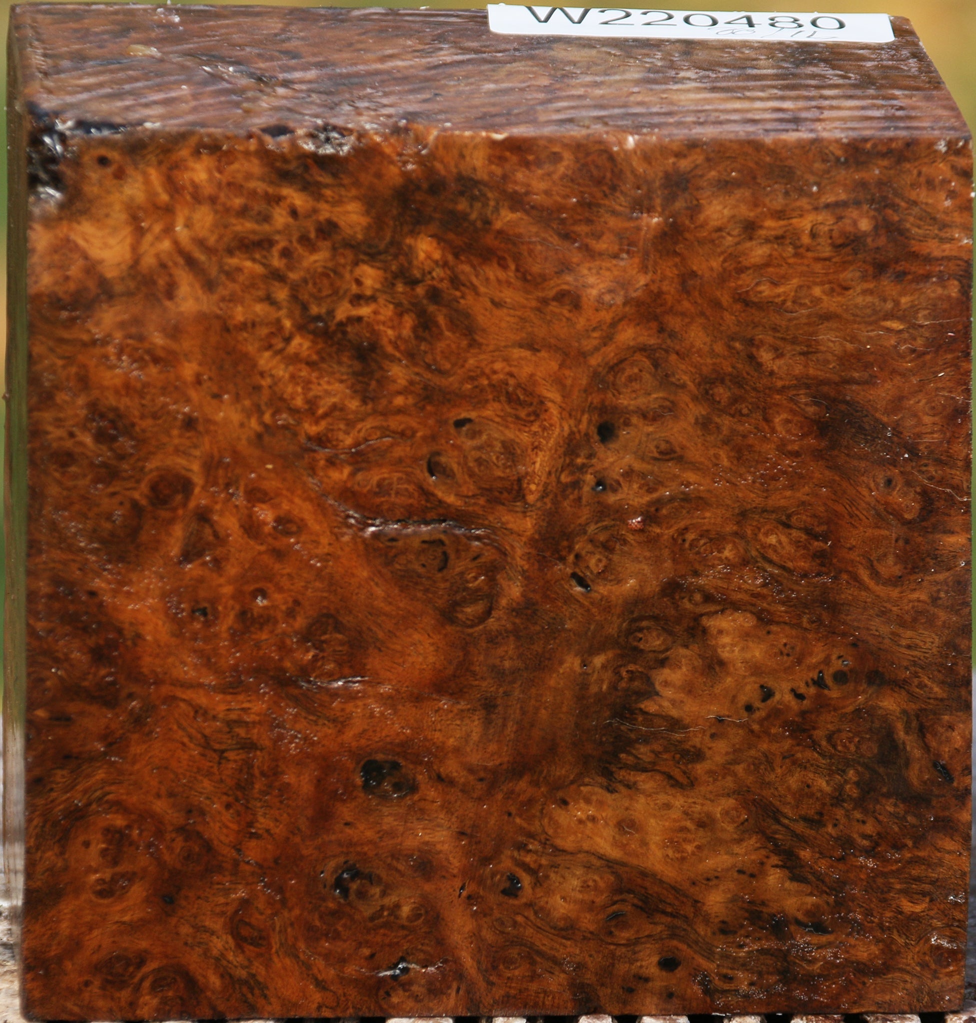 Hopea Stone Burl Bowl Blank – Cook Woods