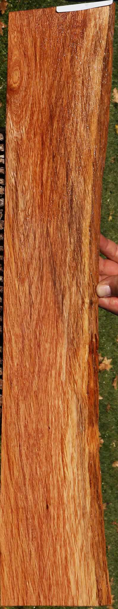 Beefwood Live Edge Micro Lumber – Cook Woods