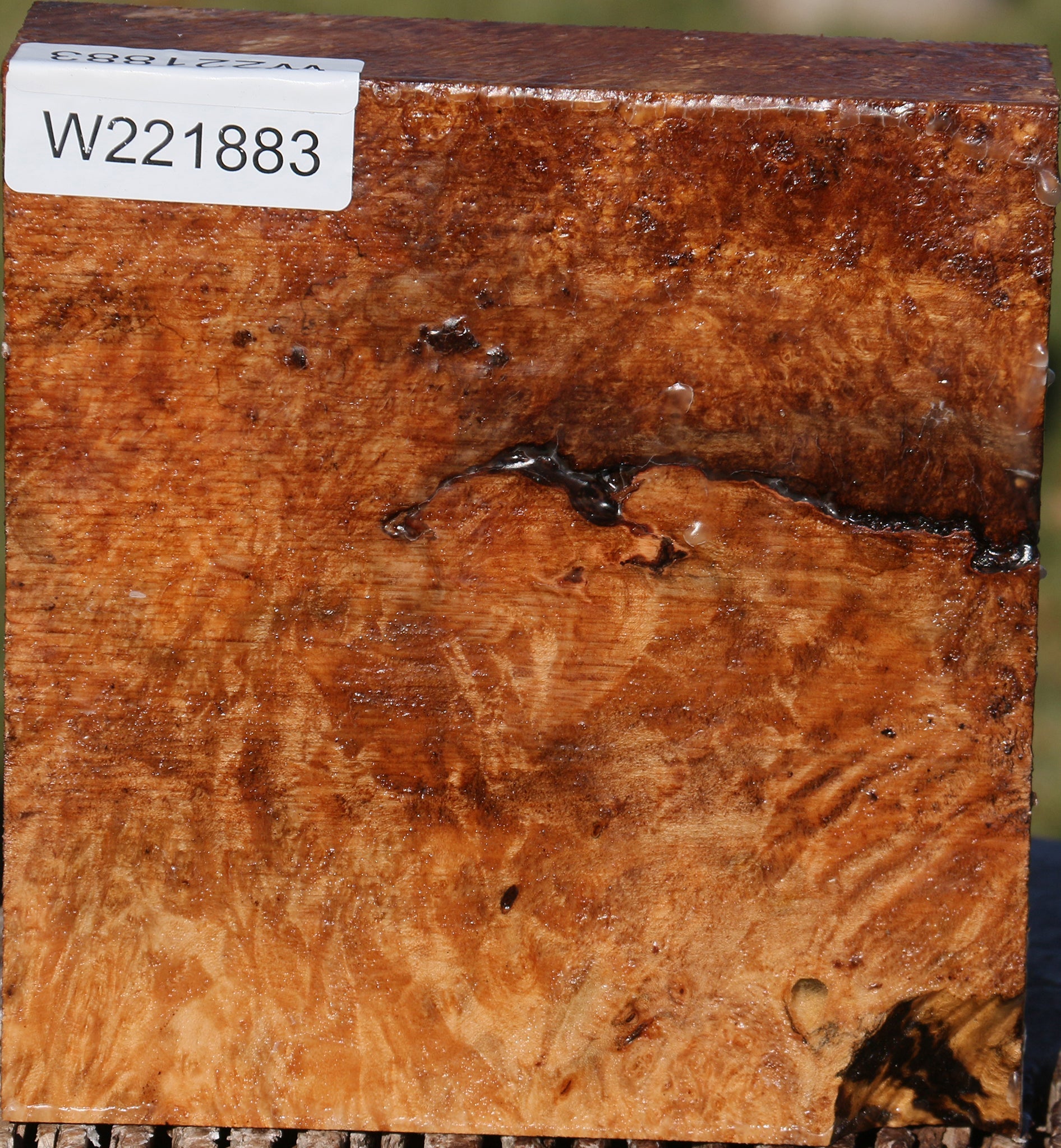 Rustic Maple Burl Bowl Blank – Cook Woods