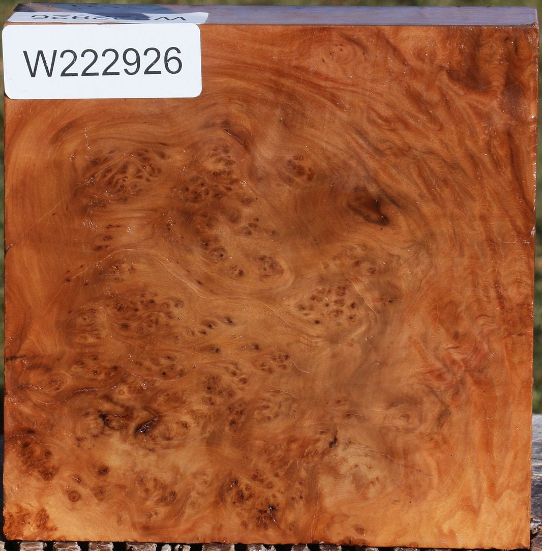 Hopea Stone – Cook Woods