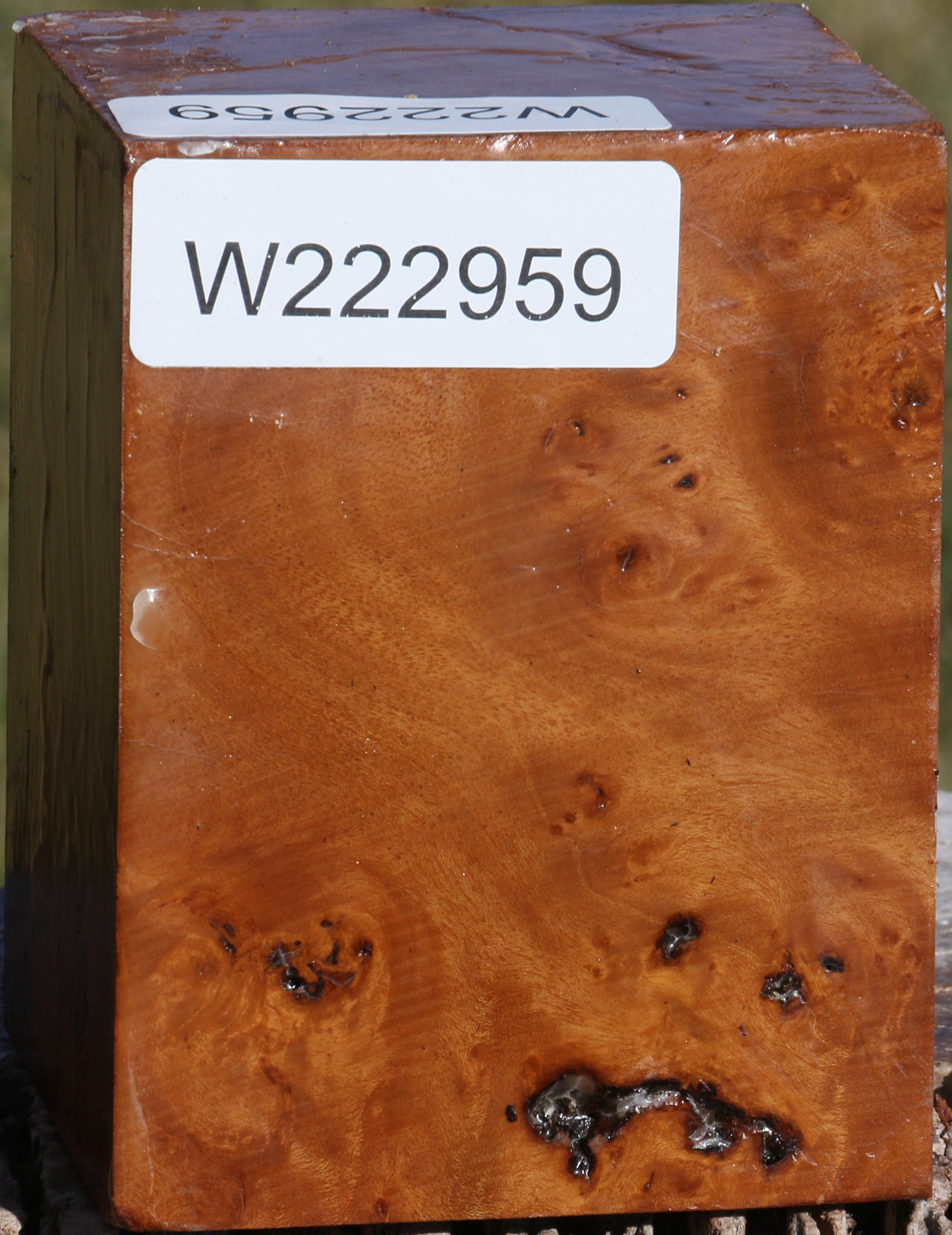 Hopea Stone Burl Turning Square – Cook Woods