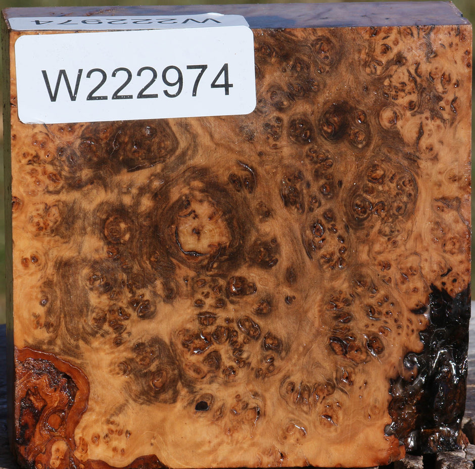 Hopea Stone – Cook Woods