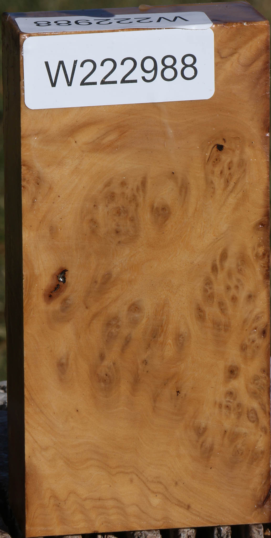 Hopea Stone Burl Lumber – Cook Woods