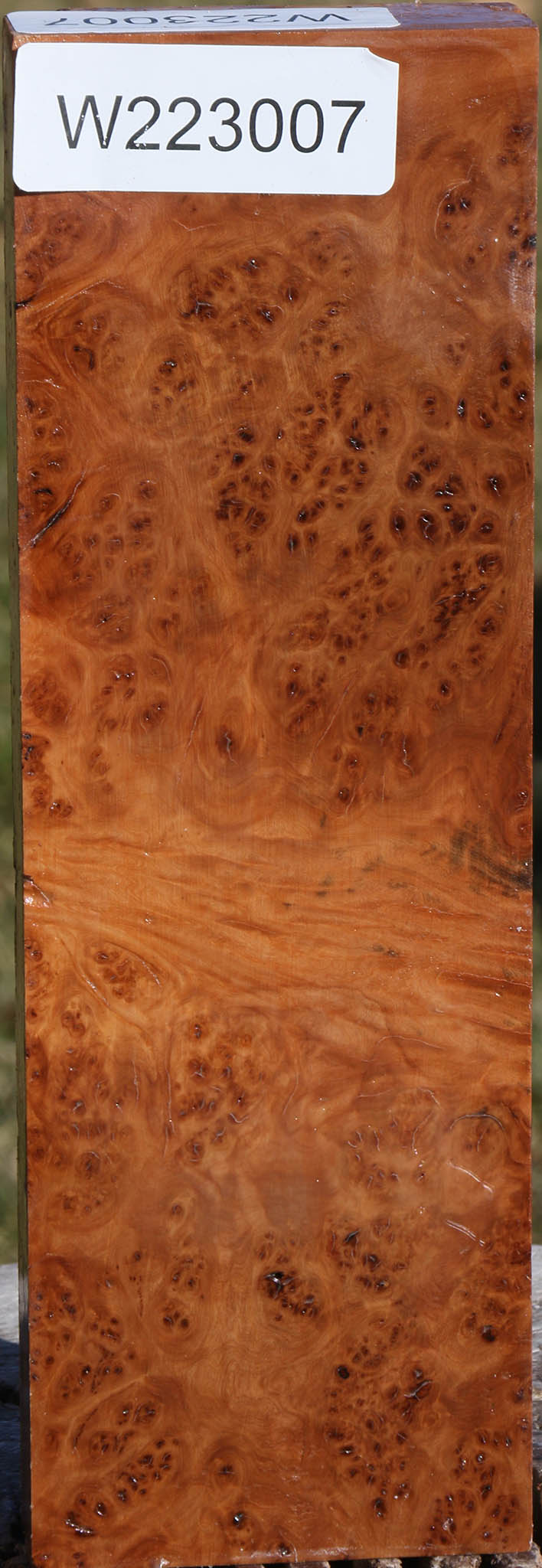 Hopea Stone – Cook Woods