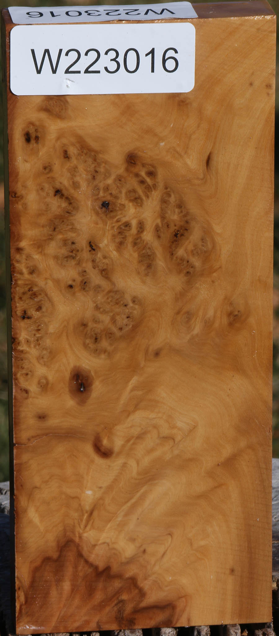 Hopea Stone – Cook Woods