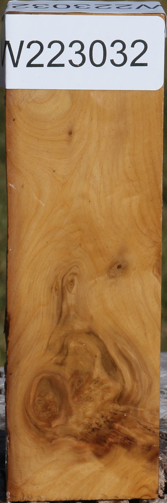 Hopea Stone Burl Lumber – Cook Woods