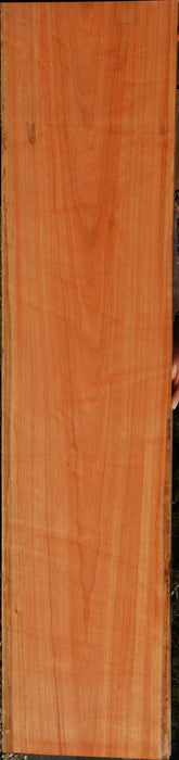 Red Grandis – Cook Woods