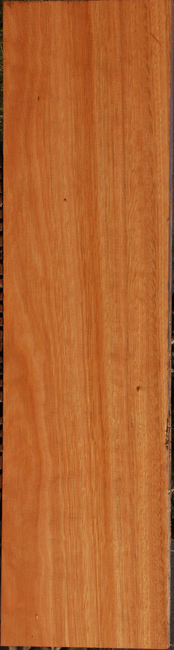 Red Grandis – Cook Woods