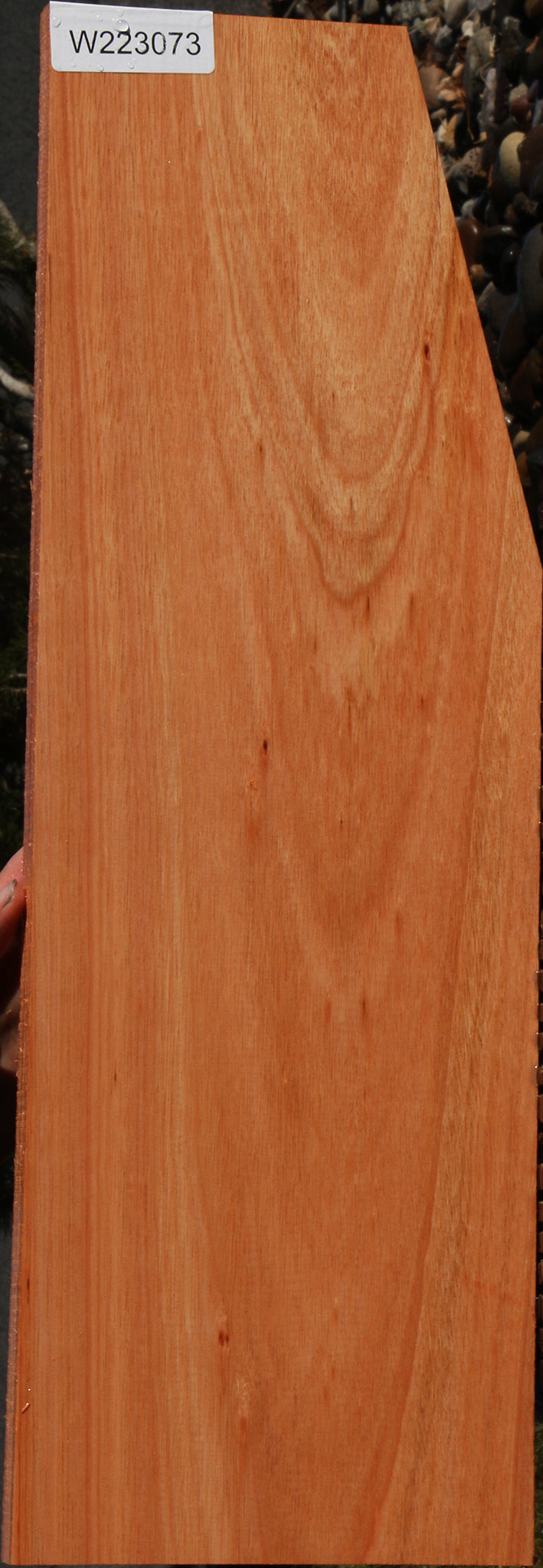 Red Grandis – Cook Woods