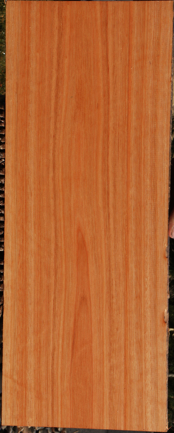 Red Grandis – Cook Woods